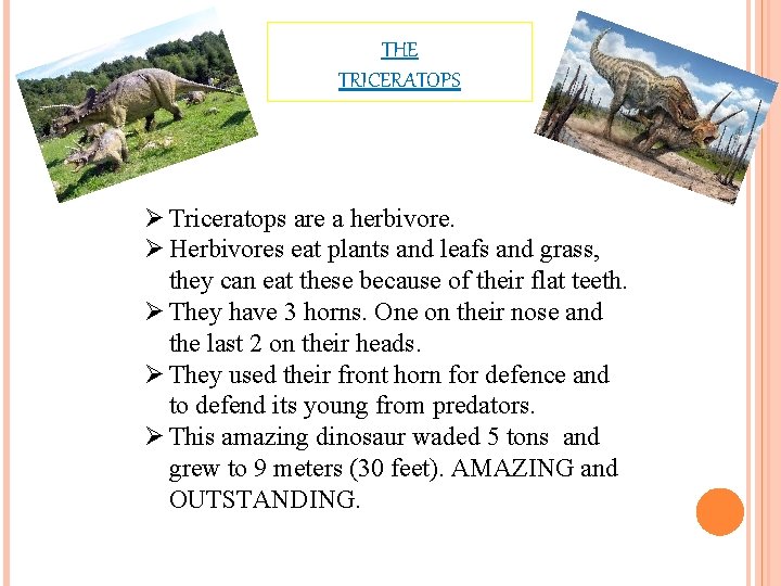 DINOSAURS By Arela THE TYRANNOSAURUS REX The Tyrannosaurus