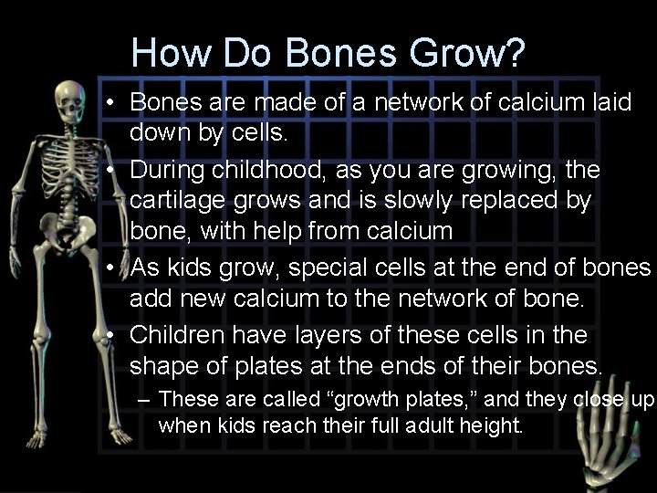 Bones More Bones Osteology The science that deals