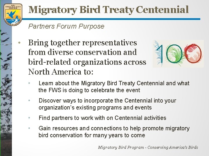 Migratory Bird Treaty Centennial Celebrating 100 Years of