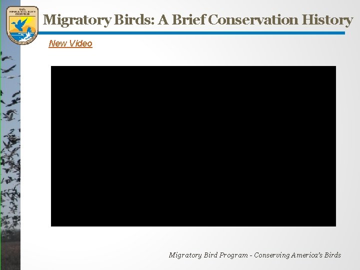 Migratory Bird Treaty Centennial Celebrating 100 Years of