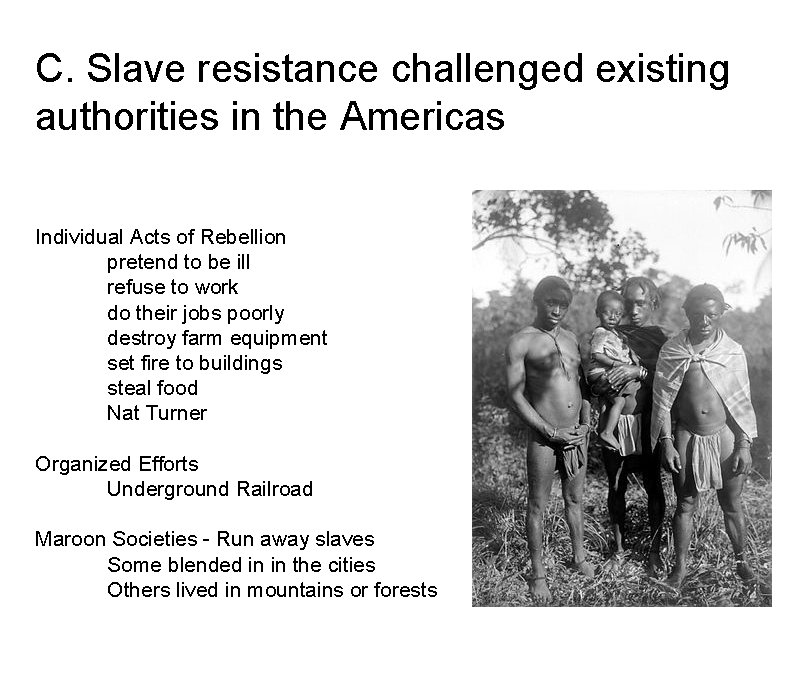 Key Concept 5 3 Rebellion and Reforms A