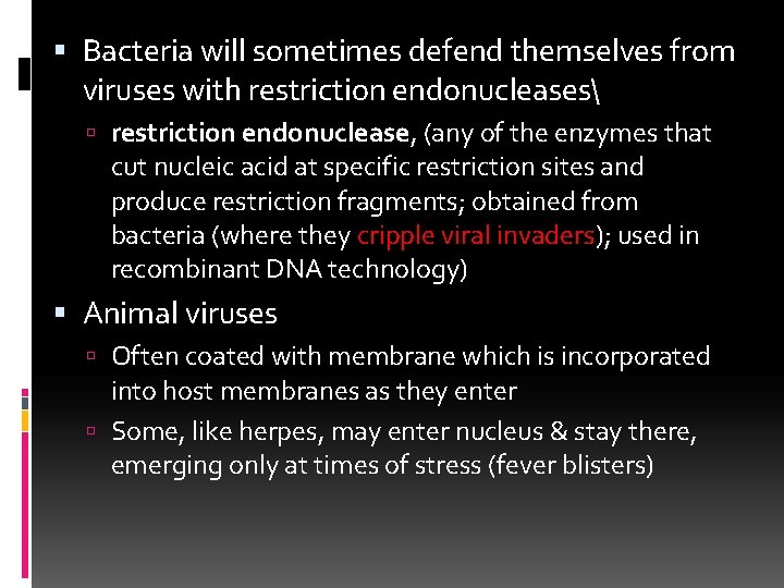 Viruses Bacteria CH 18 Ch 18 Structure Genome