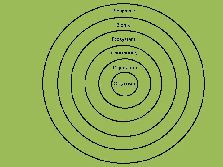 Ecological Levels of Organization Biosphere Biome Ecosystem Community