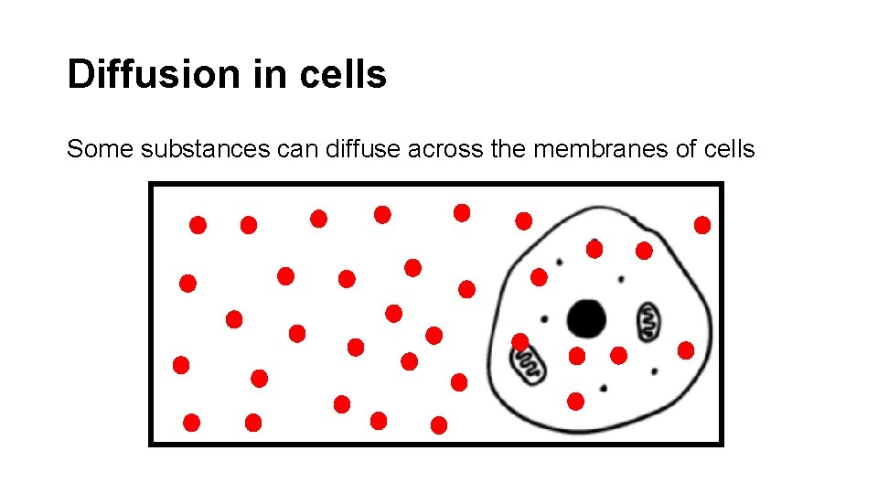 Diffusion and Osmosis This powerpoints animations are best