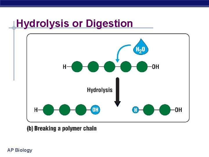 Chemistry of Carbon Building Blocks of Life AP
