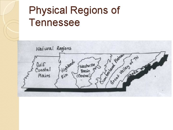 BellringerActivating List as many facts about Tennessee you