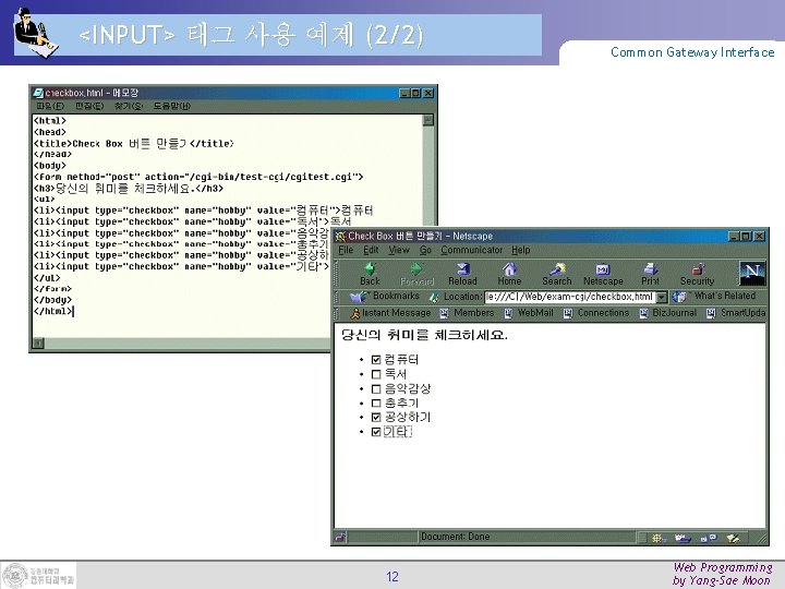 Web Programming CGI Common Gateway Interface 2006 CGI