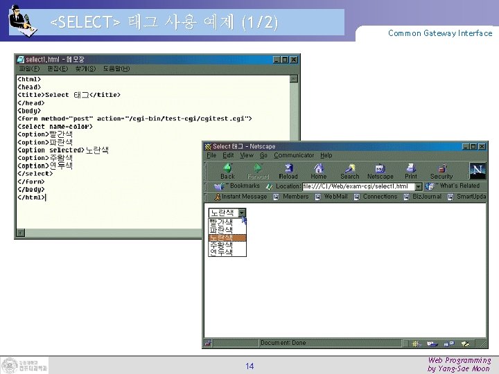 Web Programming CGI Common Gateway Interface 2006 CGI