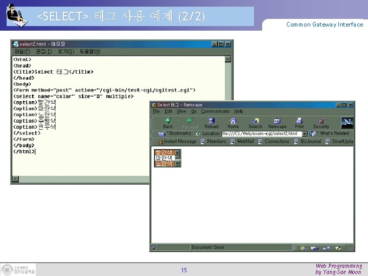 Web Programming CGI Common Gateway Interface 2006 CGI