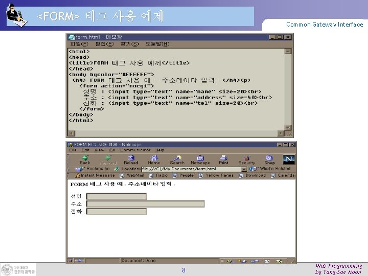 Web Programming CGI Common Gateway Interface 2006 CGI