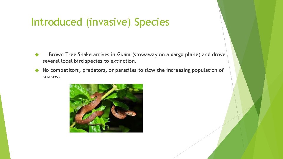 Biodiversity HIPPO H Habitat Destruction I Introduced Species