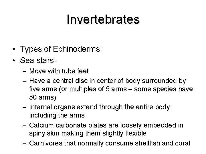 Phylum Echinoderms Invertebrates Echinoderms Characteristics of Phylum Name