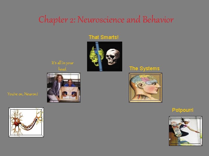 Step Up To Psychology NeuroBio Psychology Eighth Edition