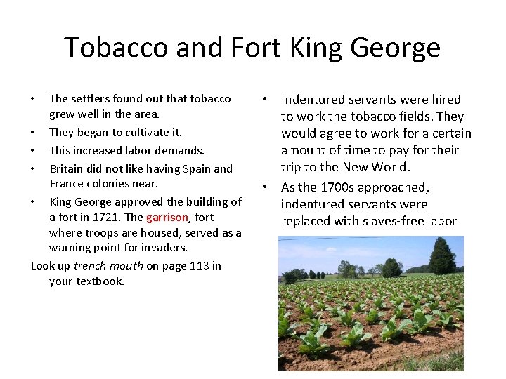 British Settlement Uncharted Territory Why did the English