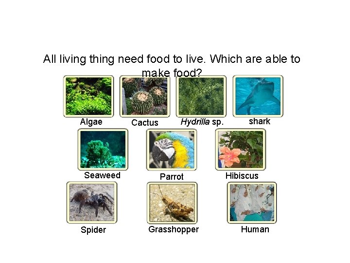 Nutrition The process by which organisms obtain energy