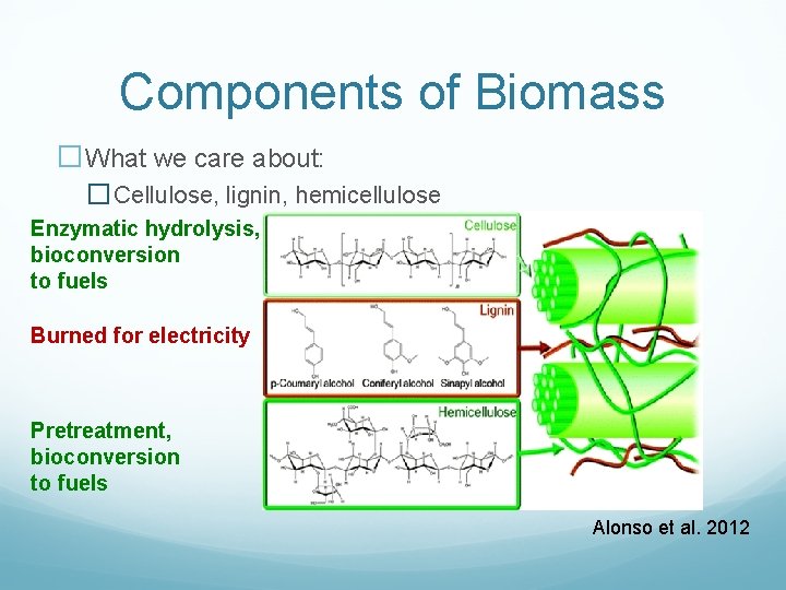 Modeling Biomass Conversion to Transportation Fuels Jacob Miller