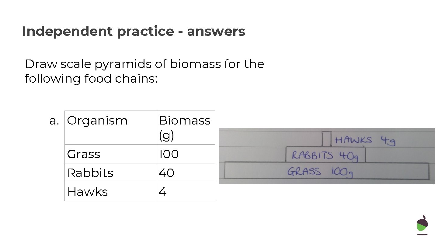 Biology Key stage 4 Ecology Biomass Dr Clapp