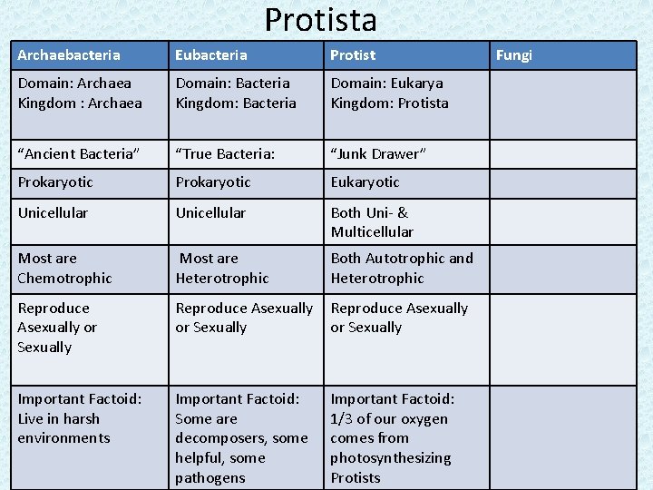 kingdom Protista Protista Archaebacteria Eubacteria Protist Domain Archaea