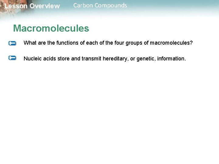 Lesson Overview Carbon Compounds Lesson Overview 2 3