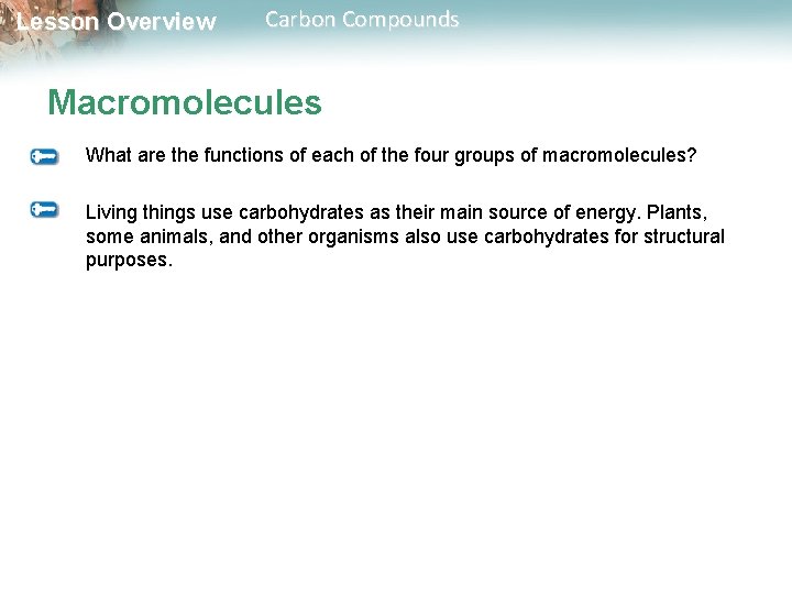 Lesson Overview Carbon Compounds Lesson Overview 2 3