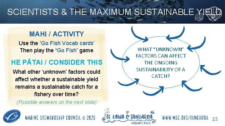 3 2 SCIENTISTS THE MAXIMUM SUSTAINABLE YIELD Focus