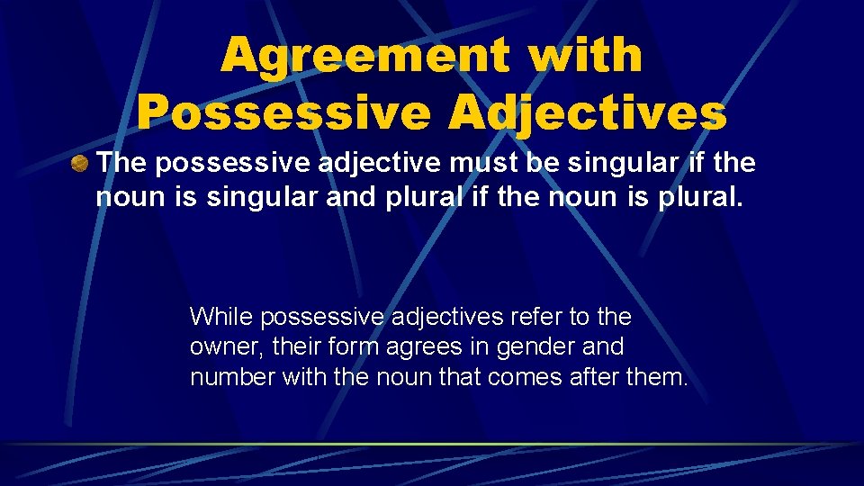 Possessive Adjectives DESCRIBE nouns correct Well they can