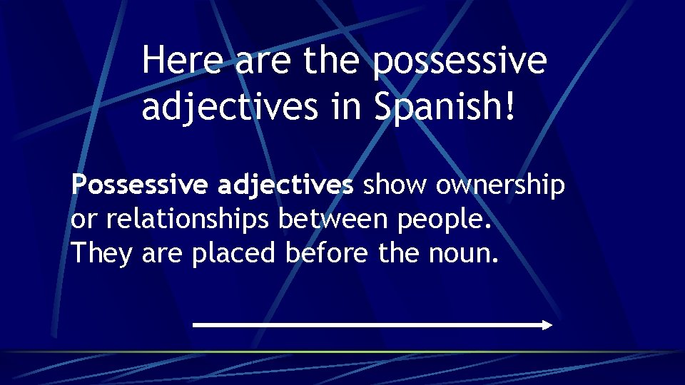 Possessive Adjectives DESCRIBE nouns correct Well they can
