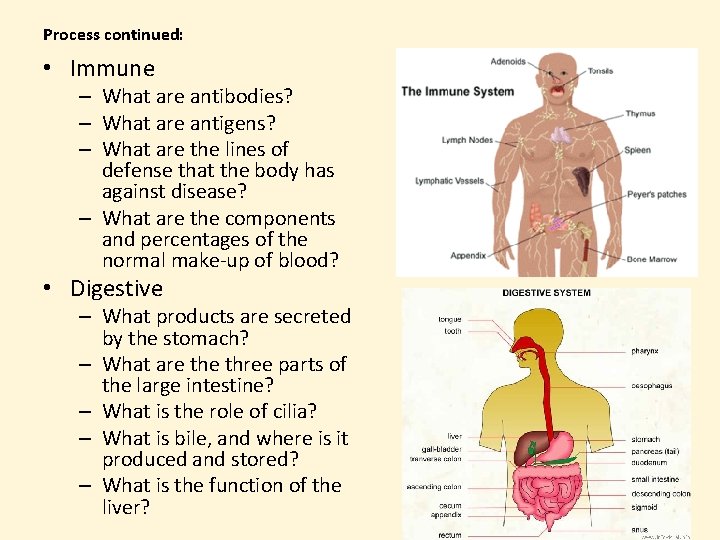Journey Through the Human Body Presenter Samantha Elias