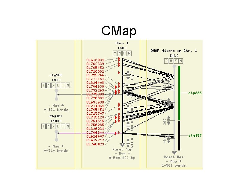 CMap Version 0 16 Ben Faga CMap CMap