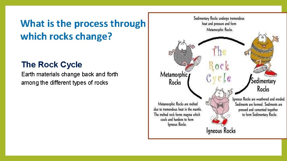 ROCKS 1 2 nd Year Biology Class Faculty
