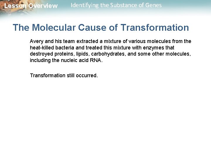 Lesson Overview 12 1 Identifying the Substance of
