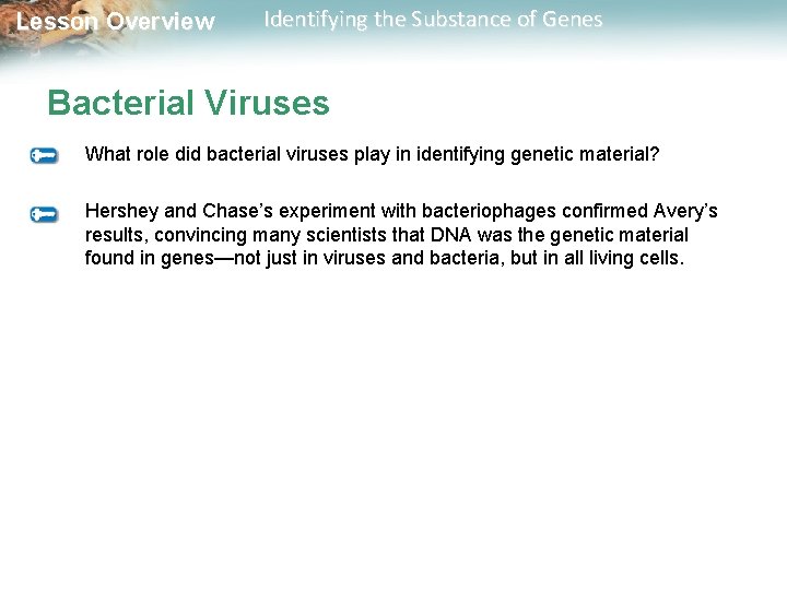 Lesson Overview 12 1 Identifying the Substance of