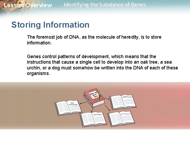 Lesson Overview 12 1 Identifying the Substance of
