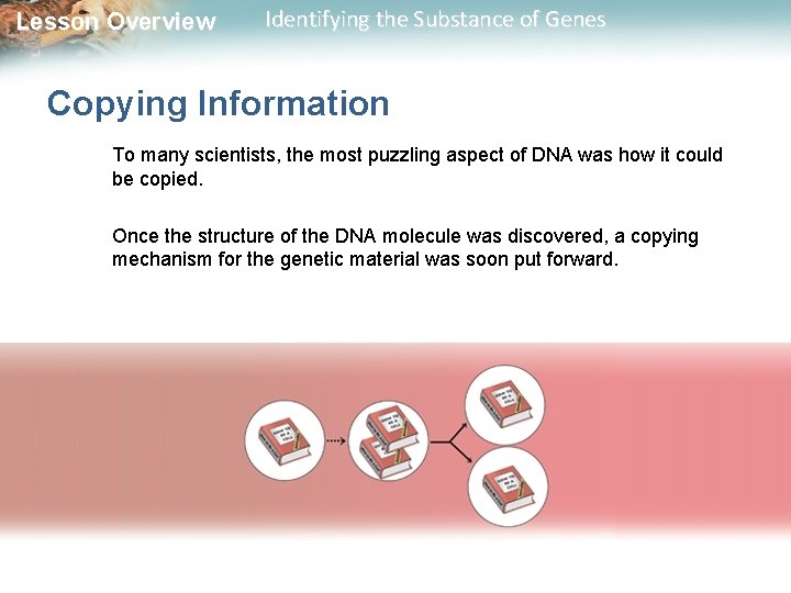 Lesson Overview 12 1 Identifying the Substance of