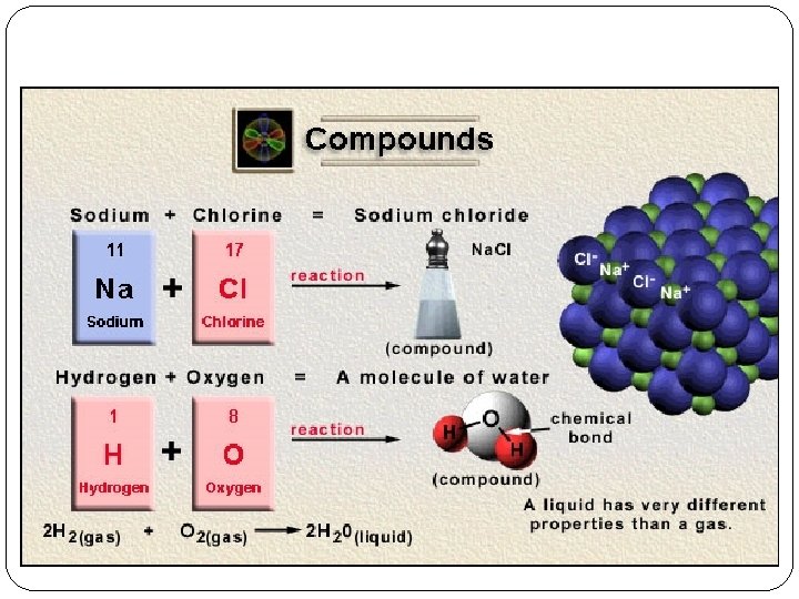 HONORS BIOLOGY Additional Information Biochemistry Standard B3 The