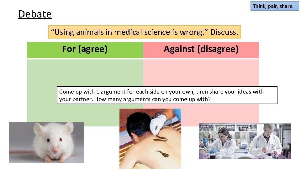 MindBoggling Medical History Animals GCSE Activity Timings 1