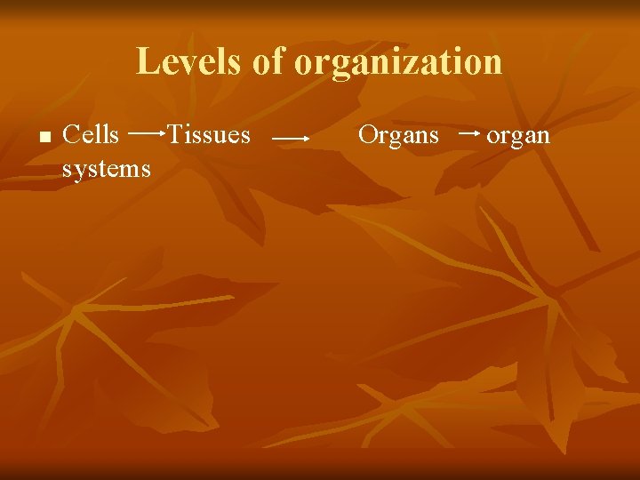 Human Body Systems Chapter 13 Levels of organization