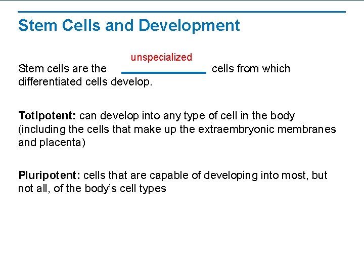 Cell Differentiation Learning Objectives Investigate how cells become