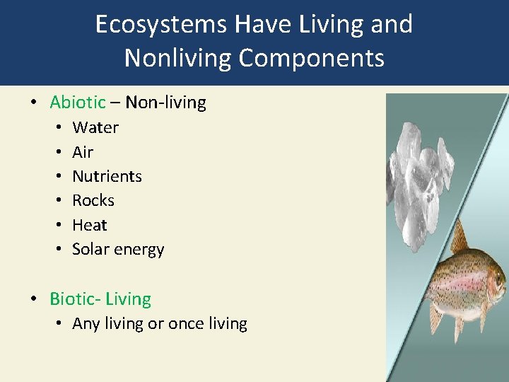2 1 Species and Populations IB TESTING TIPS