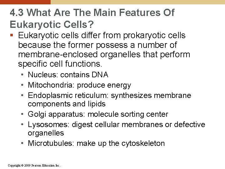 Chapter 4 Cell Structure and Function Lectures by