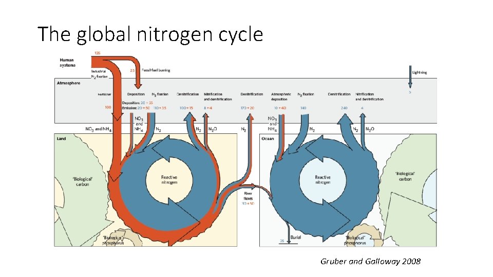 Why do we worry about nitrogen A brief