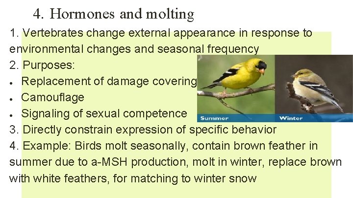 Mechanism of Behavior Hormones and Behavior of Animals