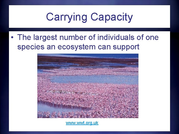 WARM UP 910 Name the type of SYMBIOSIS