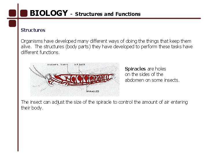 BIOLOGY POWERPOINT SLIDESHOW Grade 8 Science CELLS SYSTEMS