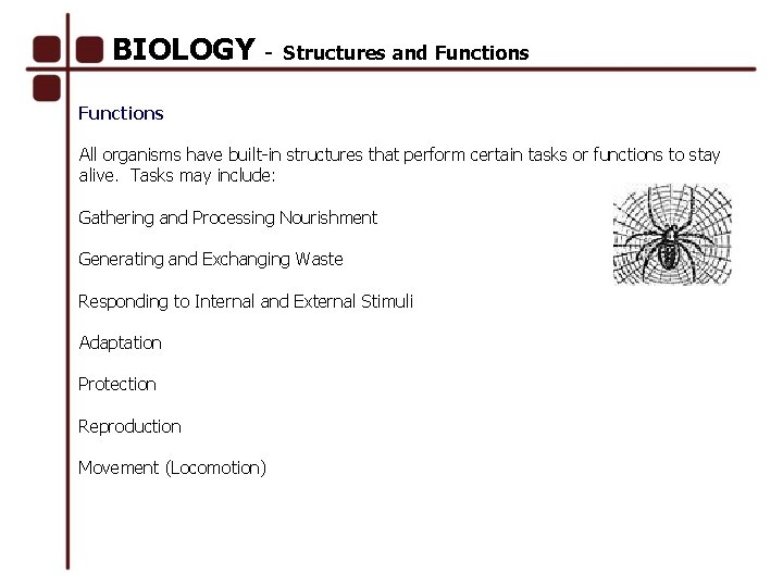 BIOLOGY POWERPOINT SLIDESHOW Grade 8 Science CELLS SYSTEMS