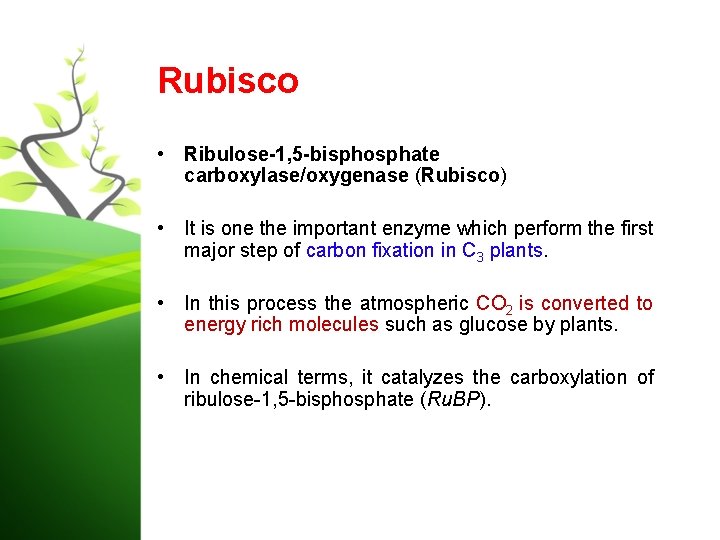 Regulation of Rubisco Introduction Rubisco stand for ribulose