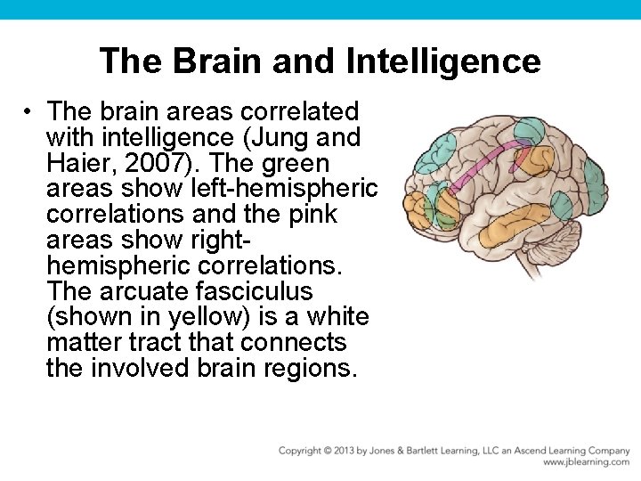 Chapter 9 Intelligence Objectives 9 1 The Nature
