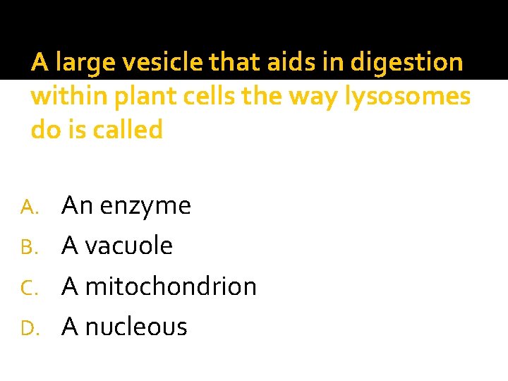 Cells The Basic Unit of Life Assessment Jeopardy