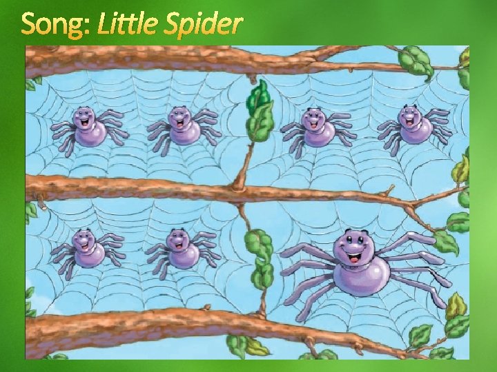 Spider Beat Little Miss Muffet sat on a