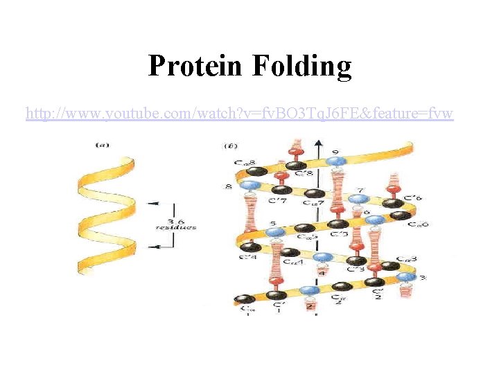 Template Based Protein Structure Modeling Jianlin Cheng Ph